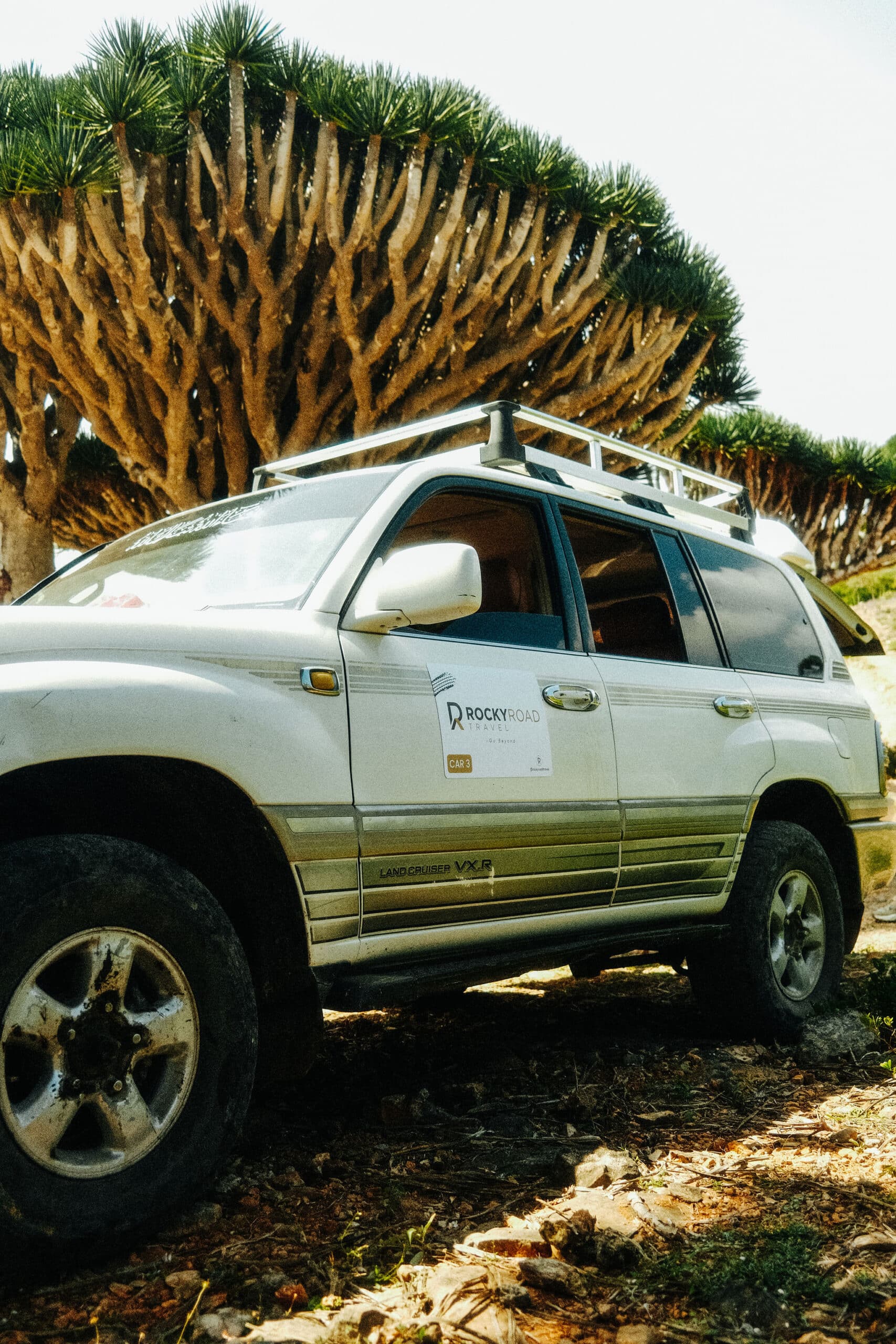 Socotra Tours | Tour Socotra Island | Tours of Socotra